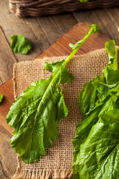 Raw Organic Turnip Greens — Stock Photo © bhofack2 #104988712