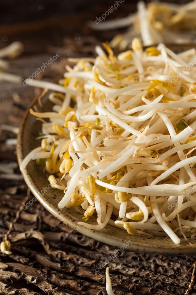 Brotes de frijol blanco crudo sano 2023