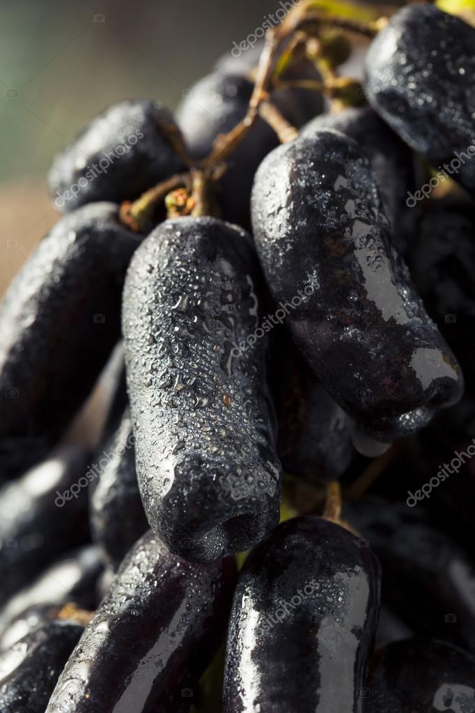 Uvas largas purpúreas orgánicas crudas: fotografía de stock © bhofack2 ...