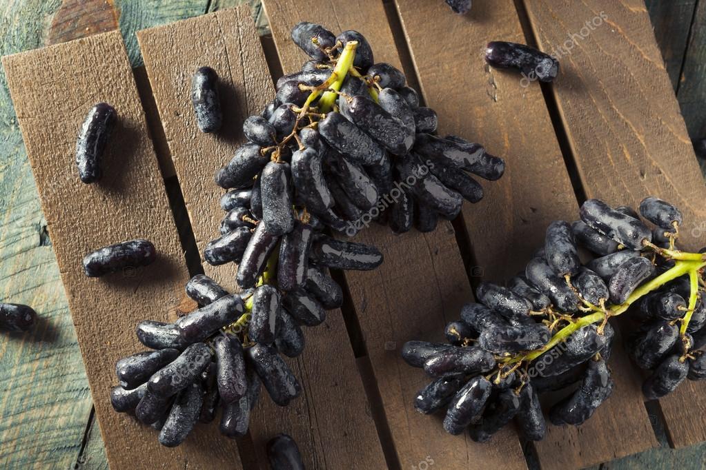 Fotos de Uvas largas purpúreas orgánicas crudas - Imagen de © bhofack2 ...