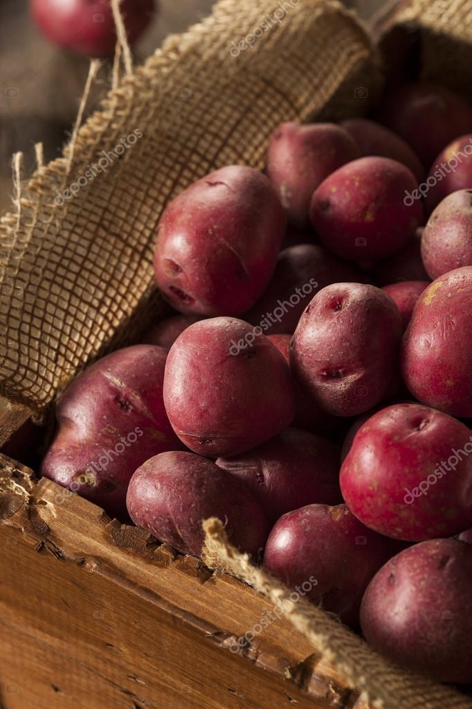 Patatas rojas crudas orgánicas 2023