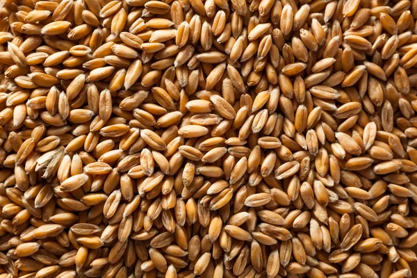 Spelt Stock Photos, Royalty Free Spelt Images | Depositphotos