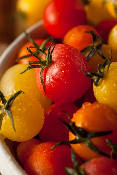 Organic Heirloom Cherry Tomatos - Stock Image - Everypixel