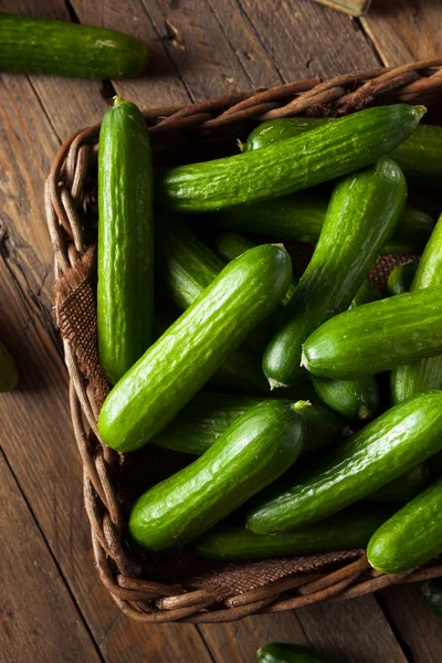 Fotos de Mini pepinos, Imagens de Mini pepinos sem royalties ...