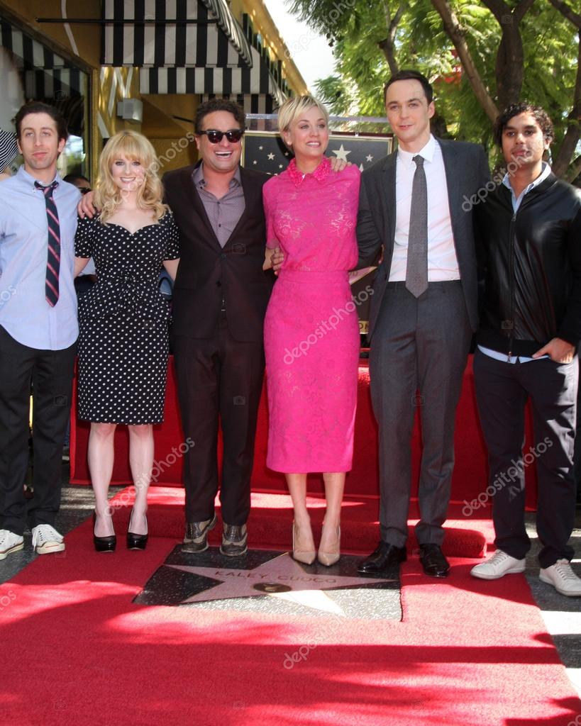 Johnny Galecki Allison Galecki