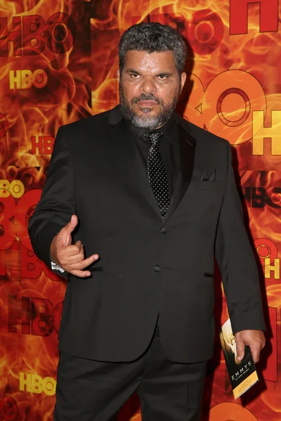Luis Guzman Robin