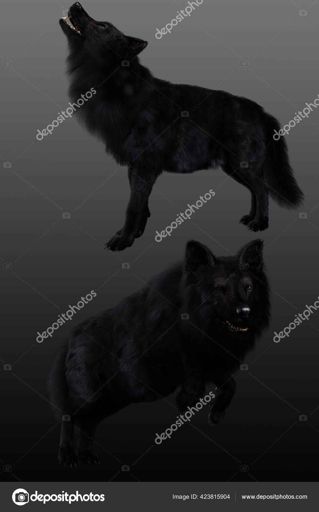 Zwarte Wolf Stam Realistische Draken Fake Tijdelijke Tattoo Voor