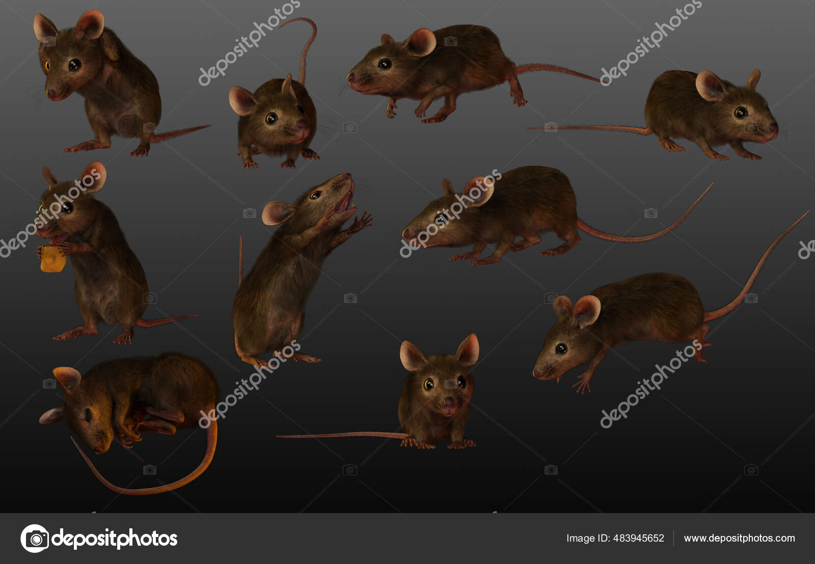 Cgi Mouse Mice Various Poses Brown Mice Stock Illustration by ©Ravven ...