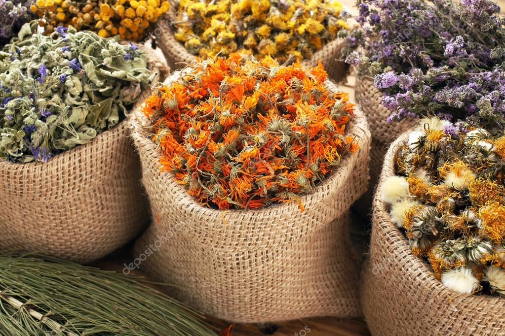 Dried calendula flower — Stock Photo © denio109 #85123856