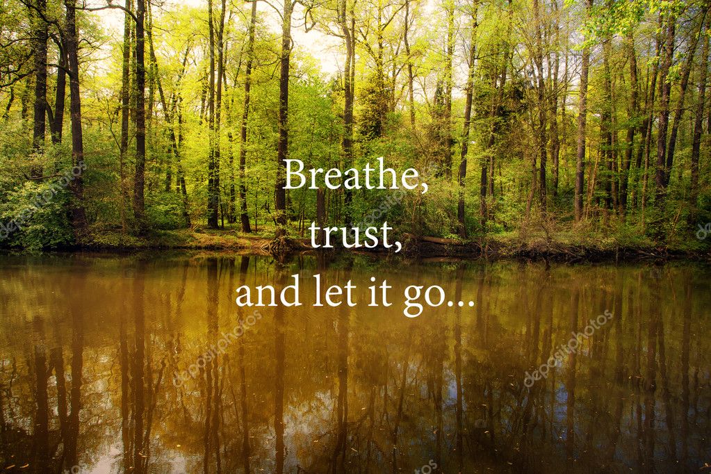 Forest message — Stock Photo © zoomarket #73103653