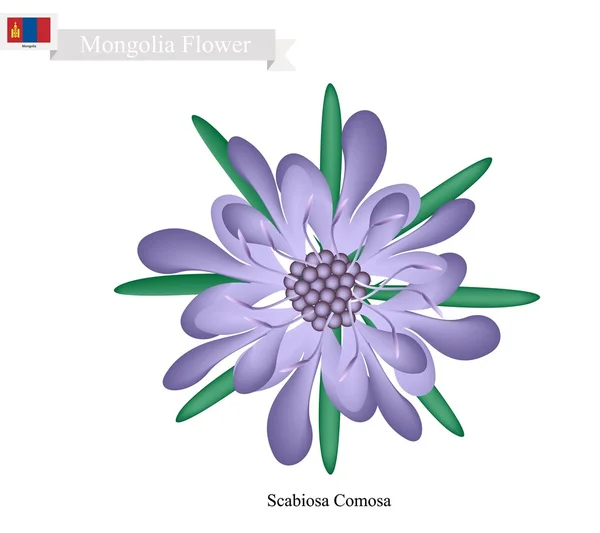 Samoan National Flower Teuila | Best Flower Site