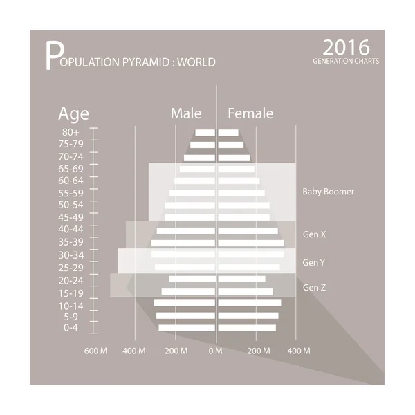 Population Demography Population Pyramids Chart Age Structure Graph Baby Boomers Stock Vector ...
