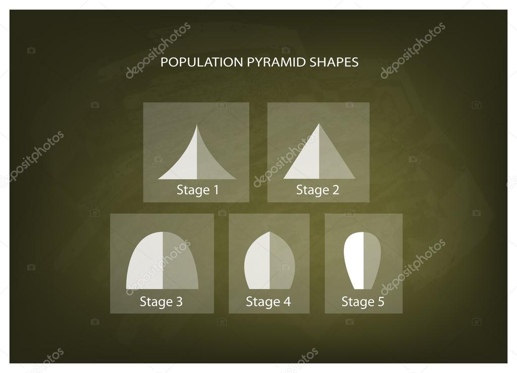 Different Types of Population Pyramids on Chalkboard Background — Stock ...