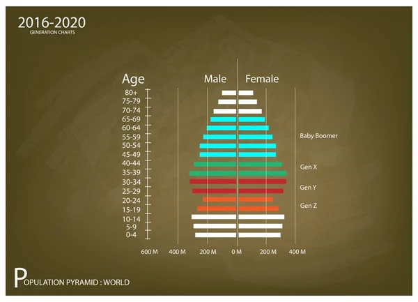 Population Demography Population Pyramids Chart Age Structure Graph ...