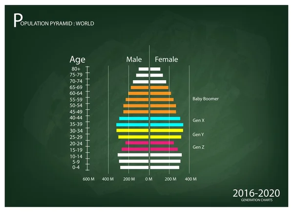 2016-2020 Population Pyramids Graphs with 4 Generation Stock Vector ...