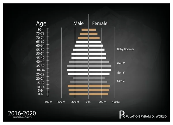 2016-2020 Population Pyramids Graphs with 4 Generation Stock Vector ...