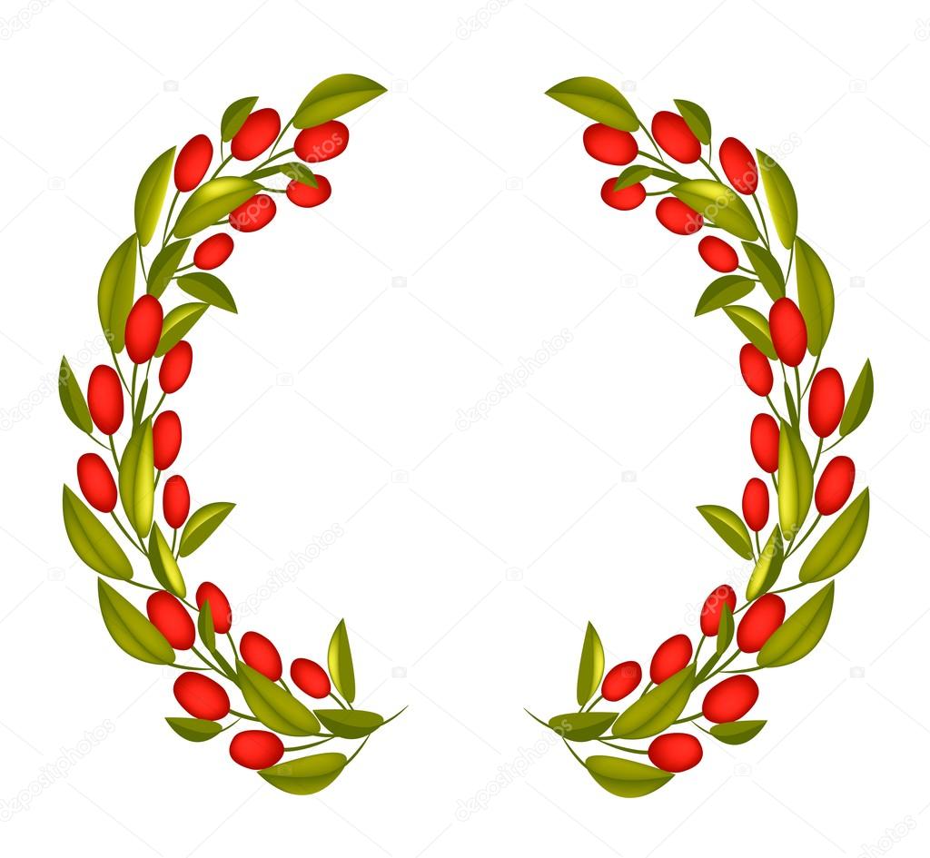 Olive Wreath or Olive Crown with Red Fruit Stock Vector by ©Iamnee 57563219