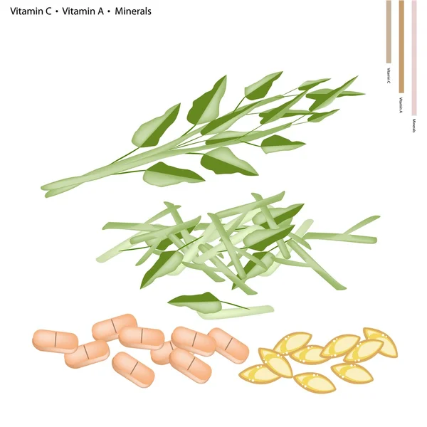 Water spinach Vector Images, Royalty-free Water spinach Vectors ...