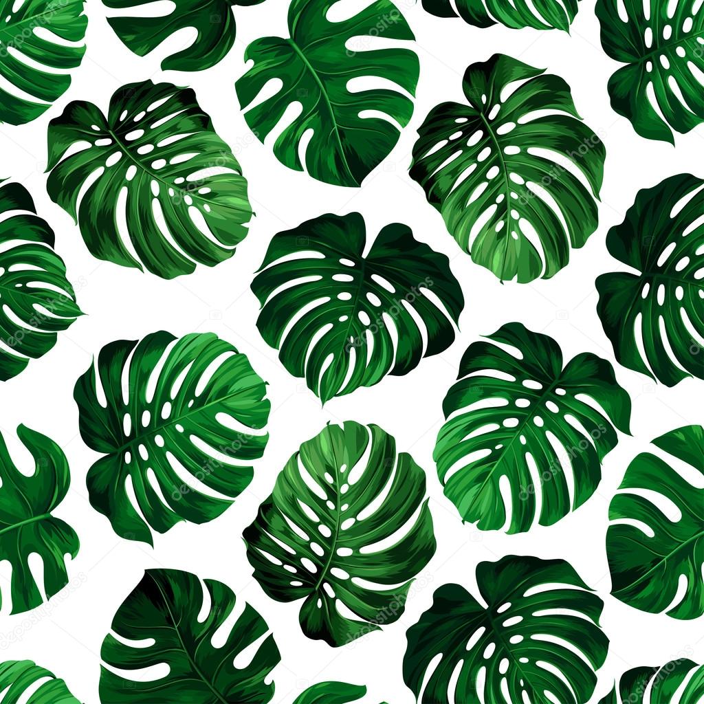 Seamless Pattern Of Leaves Monstera Stock Vector Image By ©antart