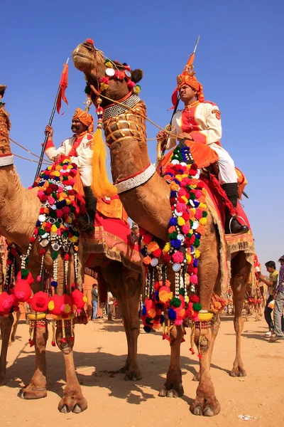 Camel festival Stock Photos, Royalty Free Camel festival Images ...