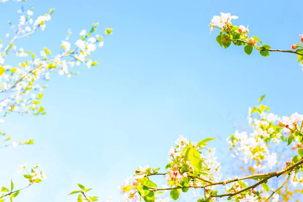 Spring sky background Stock Photos, Royalty Free Spring sky background ...