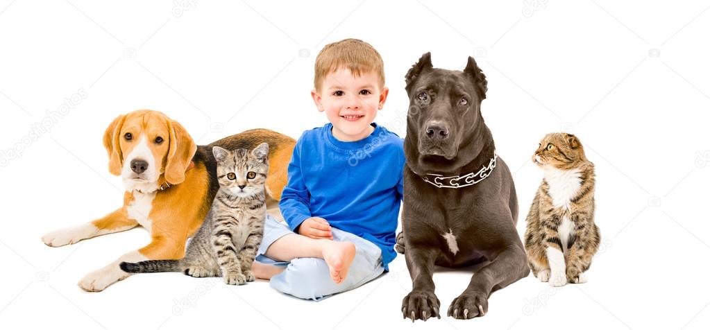 Happy boy, cats and dogs Stock Photo by ©Sonsedskaya 73830879