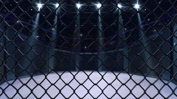 Ufc Fighting Cage