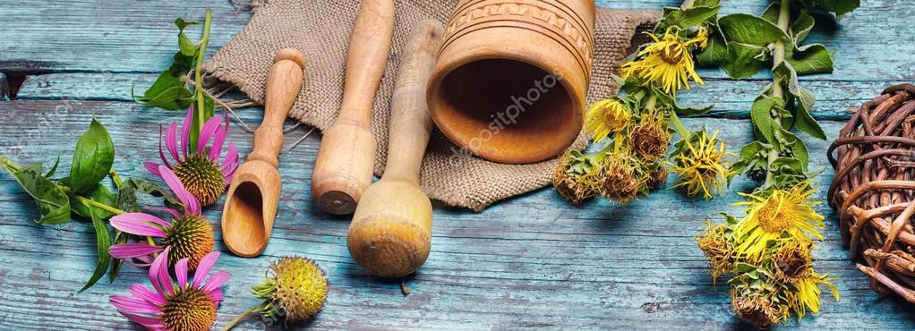 Nard Stock Photos, Royalty Free Nard Images | Depositphotos