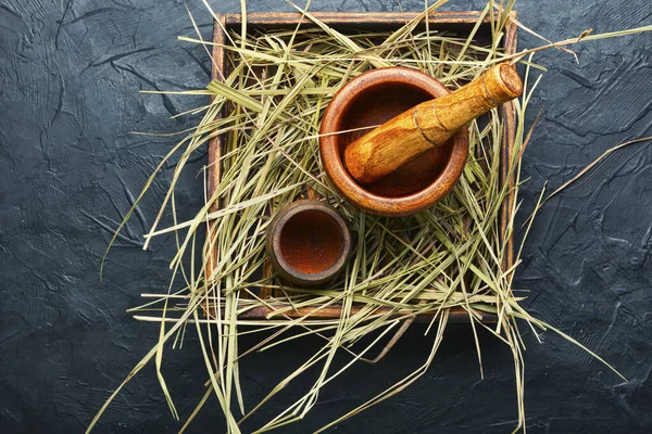 Uso medicinal de la hierba pasto dulce en la medicina herbal. 2023