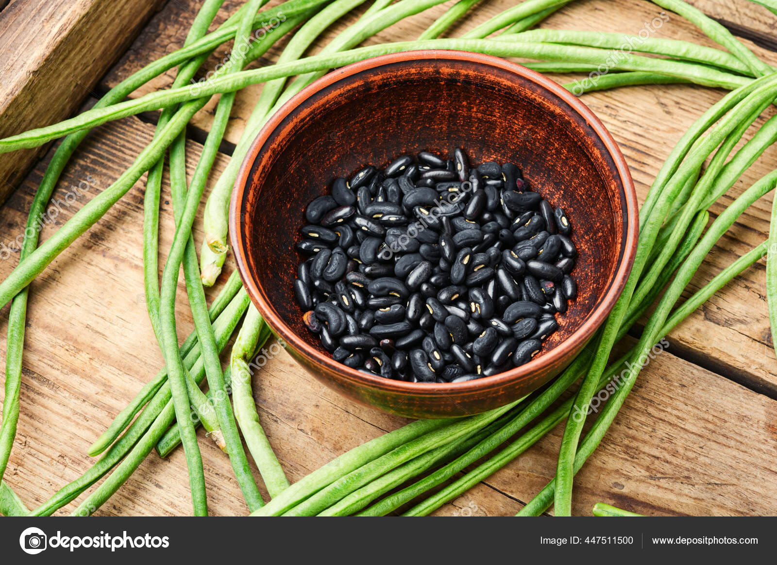 Vigna Cowpea Pods Beans Vegetable Plant Popular Chinese Food Stock ...