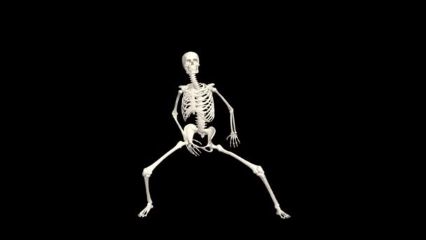 Animated Dancing Skeletons