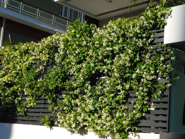 6,000,000+ imágenes de Importancia del huerto vertical libres de ...