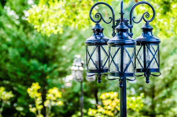 Decorative classic lamp post in garden - Stock Image - Everypixel