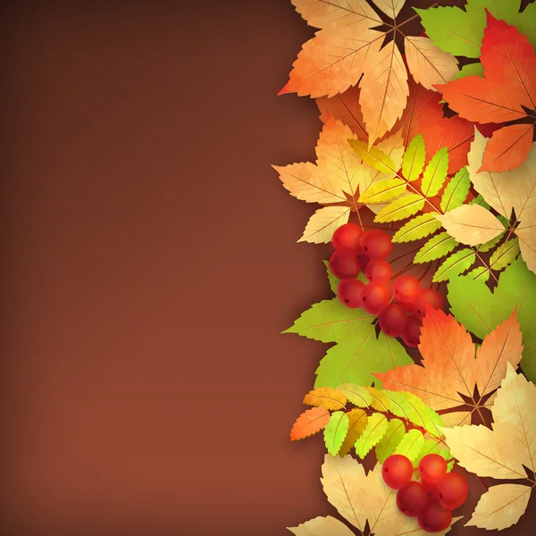 Autumn Vector Fall Leaves Stock Vector Image by ©kostins #51704443