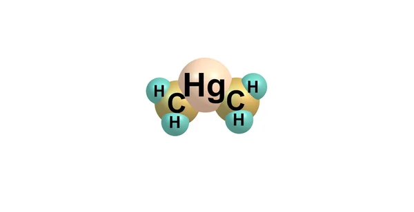 Hormona responsiva Stock Photos, Royalty Free Hormona responsiva Images ...