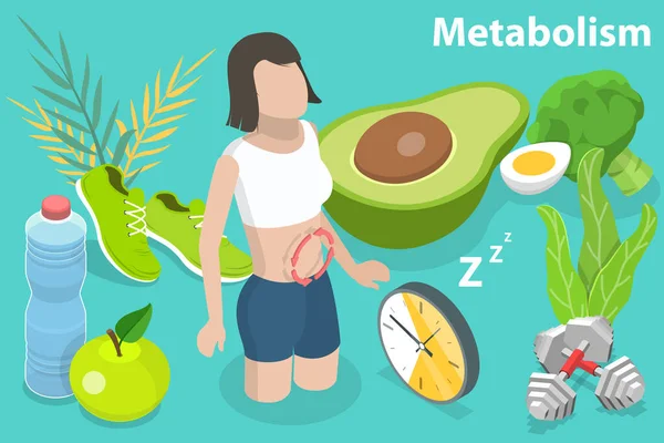 50,984,140 Metabolic Vector Images | Depositphotos