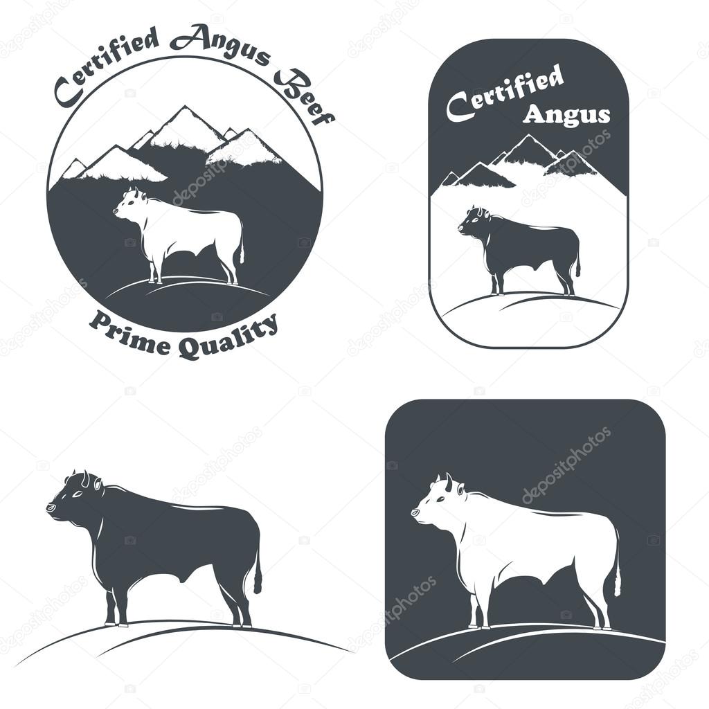 Angus Bull Logo