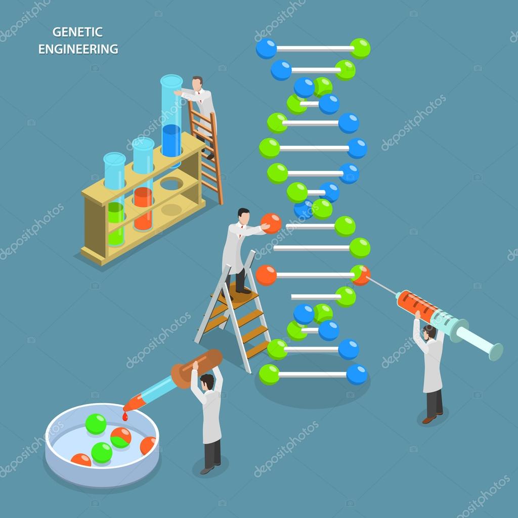 Genetic engineering isometric flat vector concept. — Stock Vector ... Genetic engineering isometric flat vector concept. — Stock Vector ...