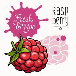 Berry Stock Photos, Royalty Free Berry Images | Depositphotos
