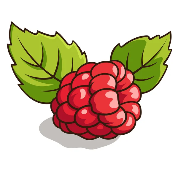 Maliny — Grafika wektorowa © AlexeyPushkin #75283173