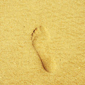 Free Stock photo of Single human footprint on the sand | Photoeverywhere