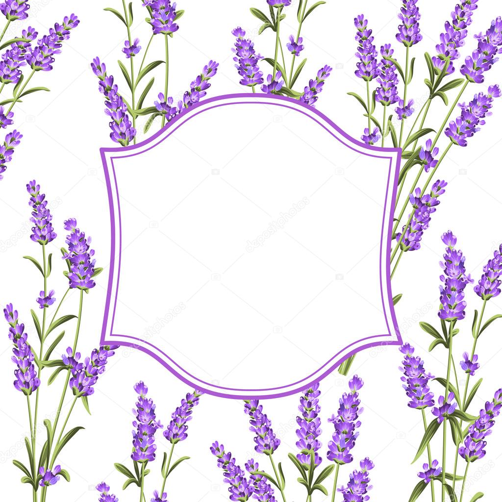 The Lavender frame line. Stock Vector Image by ©Kotkoa #104247080