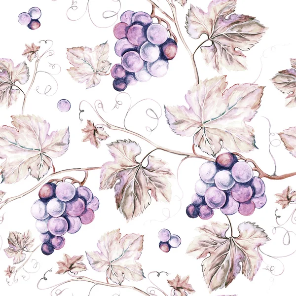 Vine pattern Stock Photos, Royalty Free Vine pattern Images | Depositphotos