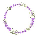 Circle of lavender flowers Stock Vector Image by ©Liddiebug #72117873