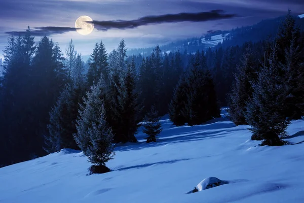 Snow Covered Road Forest Mountains Night Beautiful Winter Scenery Full ...