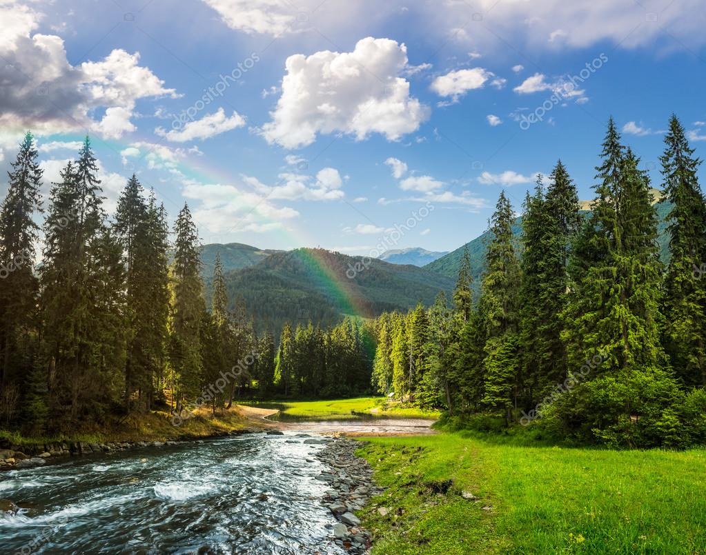 Mountain river in pine forest with rainbow ⬇ Stock Photo, Image by ...
