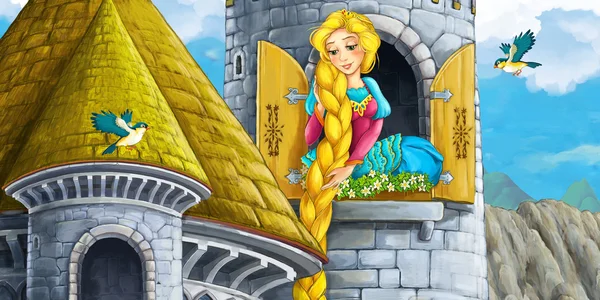 Rapunzel Tower Window