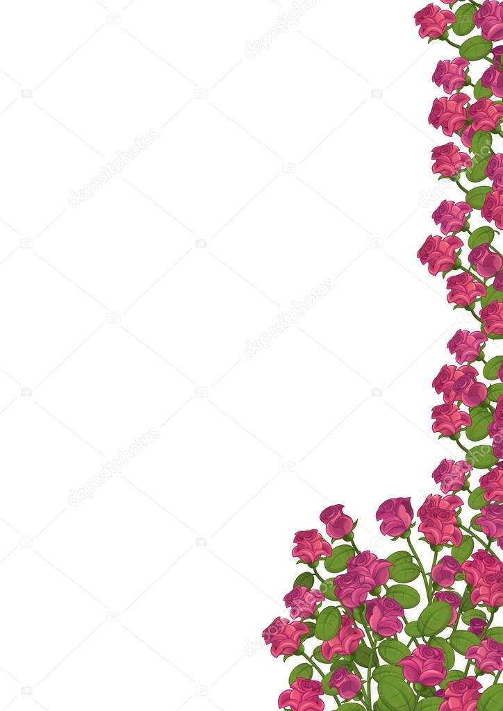 Cartoon frame with roses - isolated Stock Photo by ©illustrator_hft ...