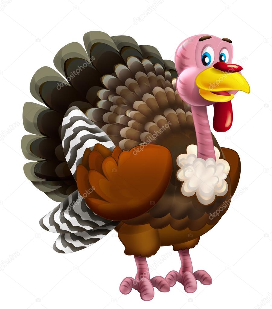 Cartoon funny turkey - isolated Stock Illustration by ©illustrator_hft ...