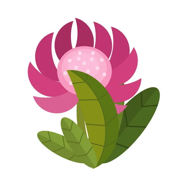 Cartoon Scene Flower White Background Illustration Children Stock ...